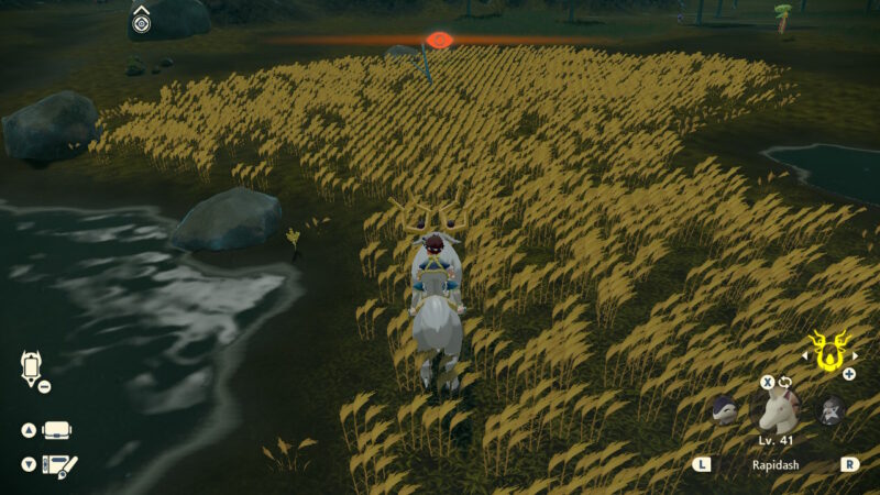 Where To Find Hearty Grains In Pokémon Legends: Arceus - Nintendo Link